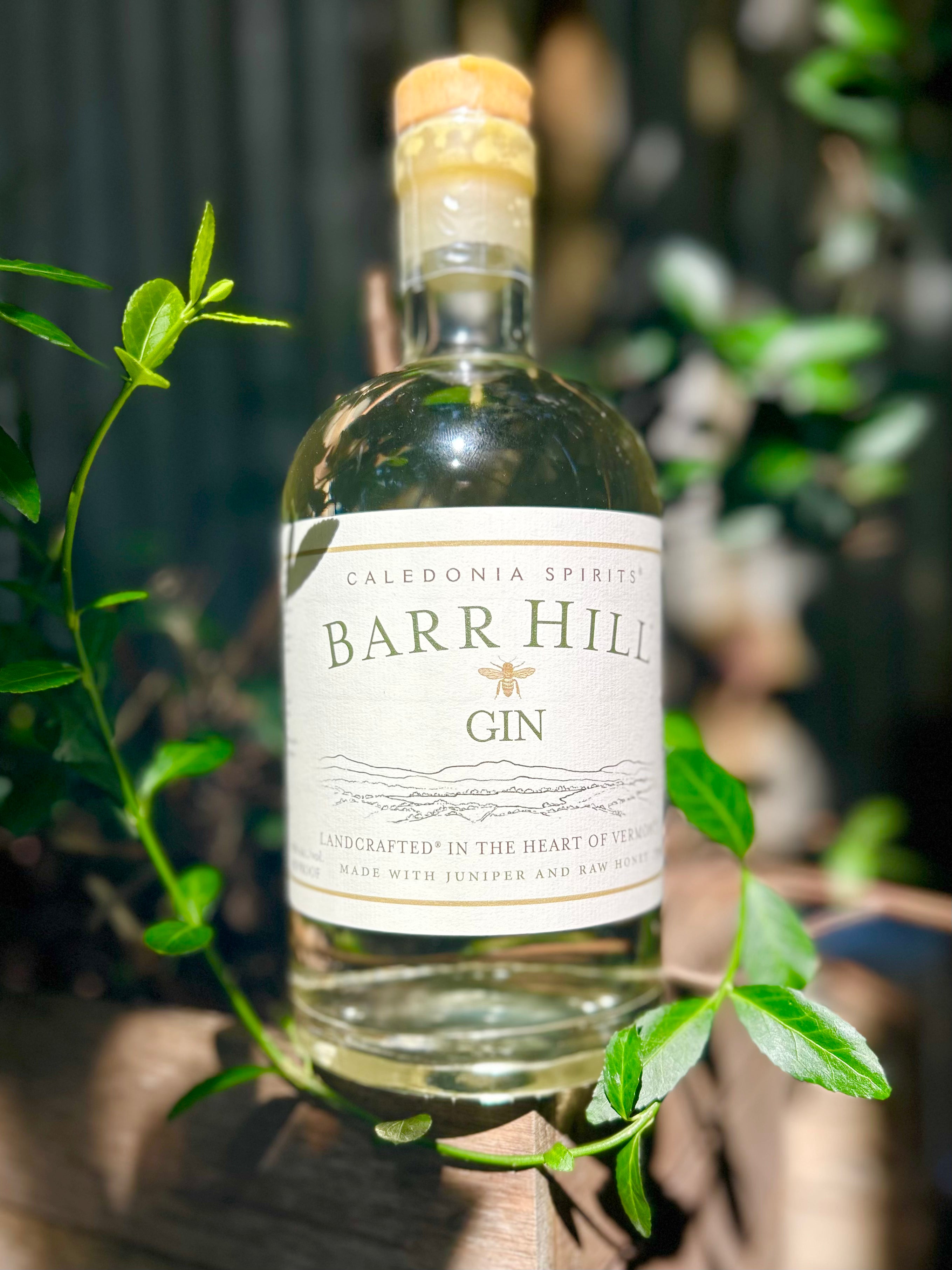 Barr Hill, Gin, 750mL – DrinkPLG